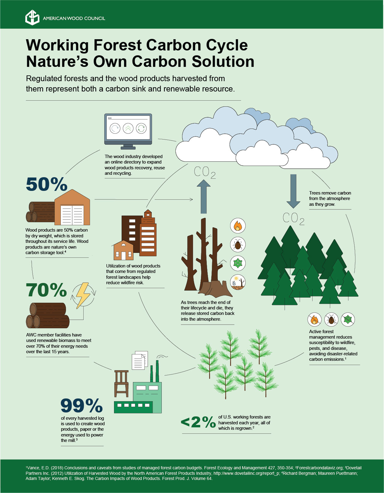 Managed Forest Carbon Cycle: Nature's Own Carbon Solution - Healthy ...